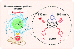 Highly efficient BODIPY-doped upconversion nanoparticles for deep-red ...