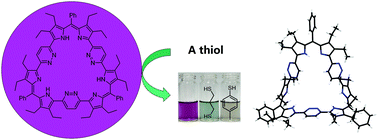 Pyridazine-bridged expanded rosarin and semi-rosarinogen - Chemical ...