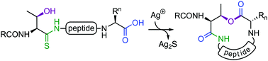 Depsipeptide synthesis using a late-stage Ag(i)-promoted ...