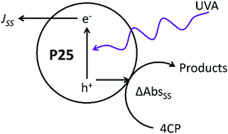 Probing P25 TiO2 photocatalysis using photoinduced absorption ...