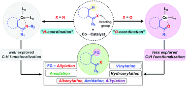 O-Directed C–H functionalization via cobaltacycles: a sustainable ...