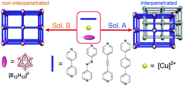 Solvent-dependent supramolecular self-assembly of boron cage pillared ...