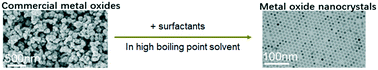 Controlled syntheses of monodispersed metal oxide nanocrystals from ...