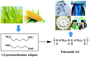 Crystal structure, thermodynamics, and crystallization of bio-based ...
