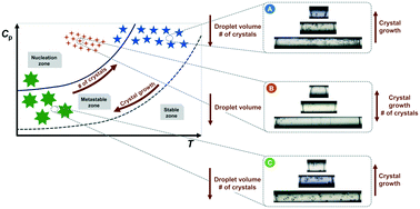 Controlled protein crystal nucleation in microreactors: the effect of ...