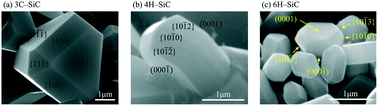 3C–, 4H–, and 6H–SiC crystal habitus and interfacial behaviours in high temperature Si-based ...