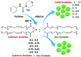 The systematic study of the precursor ratio effect in the Cd–Zn–S ...