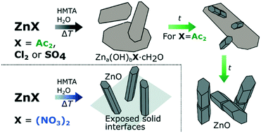Counter-ion influence on the mechanism of HMTA-mediated ZnO formation ...