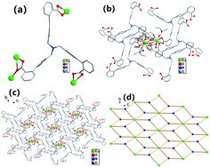 2D lanthanide coordination polymers constructed from a semi-rigid tricarboxylic acid ligand ...