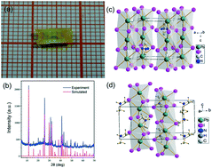 Properties and growth of large single crystals of one-dimensional ...