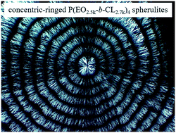 Formation of well-organized, concentric-ringed spherulites of four-arm ...