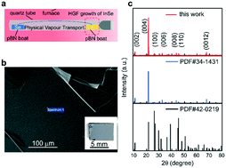 ε-InSe single crystals grown by a horizontal gradient freeze method ...
