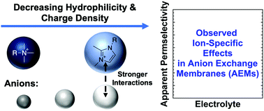 Effects of fixed charge group physicochemistry on anion exchange ...