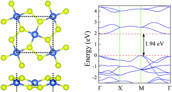 A unique pentagonal network structure of the NiS2 monolayer with high ...