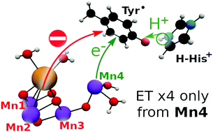 Charge separation and successive reconfigurations of electronic and ...