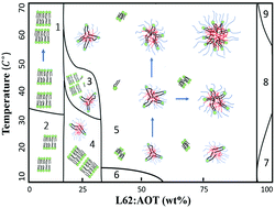 Complexation of Pluronic L62 (EO6)–(PO34)–(EO6)/aerosol-OT (sodium bis ...