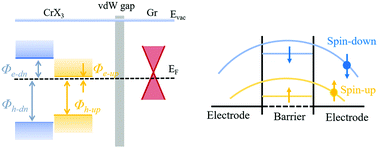 Spin-dependent Schottky barriers and vacancy-induced spin-selective ...