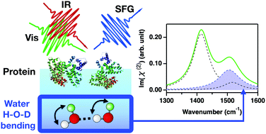 Decoding the molecular water structure at complex interfaces through ...