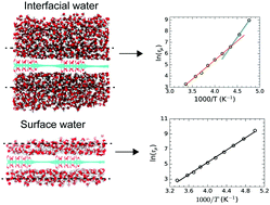 Influence of surface hydrophilicity and hydration on the rotational ...