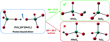Proton affinities of pertechnetate (TcO4−) and perrhenate (ReO4− ...