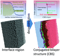 Conjugated bilayer structure of the homogeneous solid–liquid interface ...
