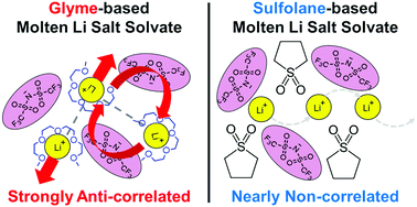 Solvent effects on Li ion transference number and dynamic ion ...