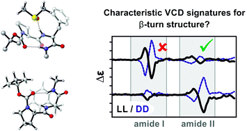 Solvation and the secondary structure of a proline-containing dipeptide ...