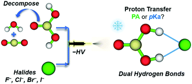 Spectroscopic evidence for intact carbonic acid stabilized by halide ...