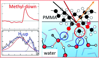 Structure of water and polymer at the buried polymer/water interface ...