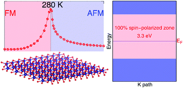 Intrinsic ultra-wide completely spin-polarized state realized in a new ...
