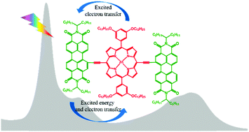 Excited-state photophysical processes in a molecular system containing ...