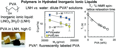 Solvation and diffusion of poly(vinyl alcohol) chains in a hydrated ...