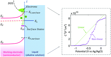 Interpreting interfacial semiconductor–liquid capacitive ...