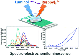 Understanding the ECL interaction of luminol and Ru(bpy)32 ...