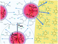 Scaling analyses for hyperpolarization transfer across a spin-diffusion ...