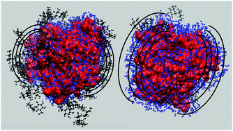 Stabilization of proteins embedded in sugars and water as studied by ...