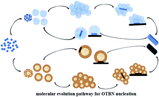 Molecular evolution pathways during nucleation of small organic ...