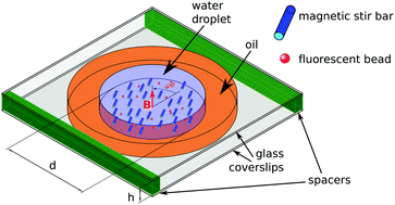 Quantifying active diffusion in an agitated fluid - Physical Chemistry ...