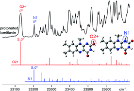 Vibronic optical spectroscopy of cryogenic flavin ions: the O2+ and N1 ...