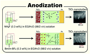 New insight into electrosynthesis of ordered TiO2 nanotubes in EG-based ...