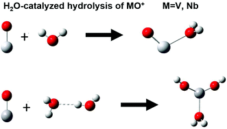 Infrared photodissociation spectroscopic investigation on VO+ and NbO+ ...