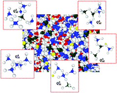 Dynamics of confined water and its interplay with alkali cations in ...