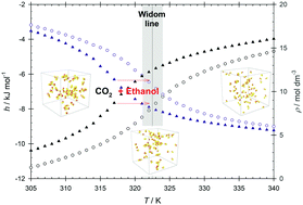 Diffusion of the carbon dioxide–ethanol mixture in the extended critical region - Physical ...