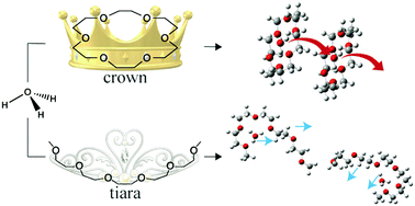 Proton conduction in hydronium solvate ionic liquids affected by ligand ...