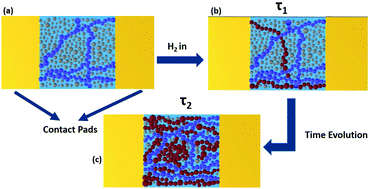 Thickness induced metal to insulator charge transport and unusual ...