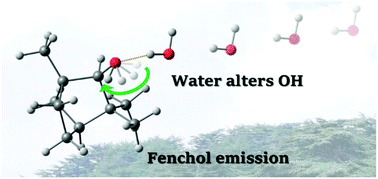 Conformational changes in hydroxyl functional groups upon hydration ...