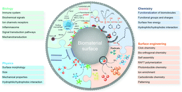 Biological responses to physicochemical properties of biomaterial ...