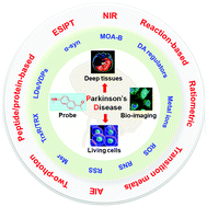 Fluorescent probes for bioimaging of potential biomarkers in Parkinson's disease - Chemical ...