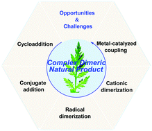 Recent advances in total syntheses of complex dimeric natural products ...