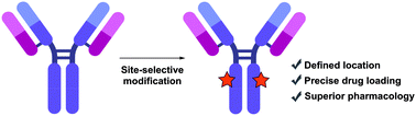 Site-selective modification strategies in antibody–drug conjugates ...